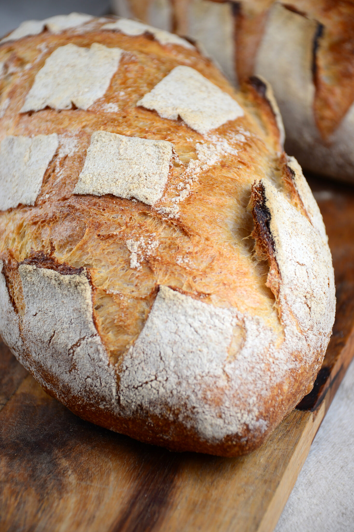 Sourdough Table Bread // Central Milling